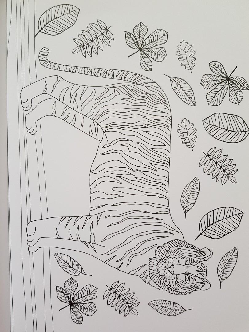 Adult Coloring Book, Hobbies & Toys, Books & Magazines, Children's ...