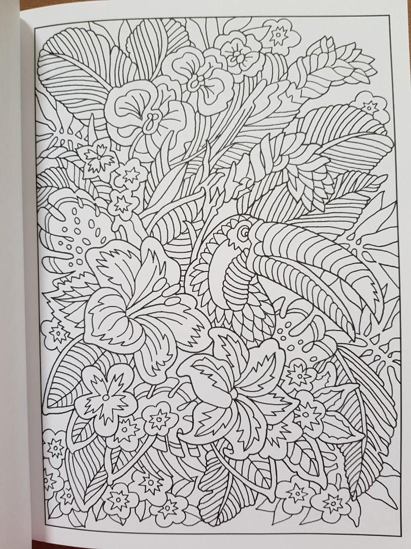 Creative Haven Adult Coloring Book, Hobbies & Toys, Books & Magazines ...