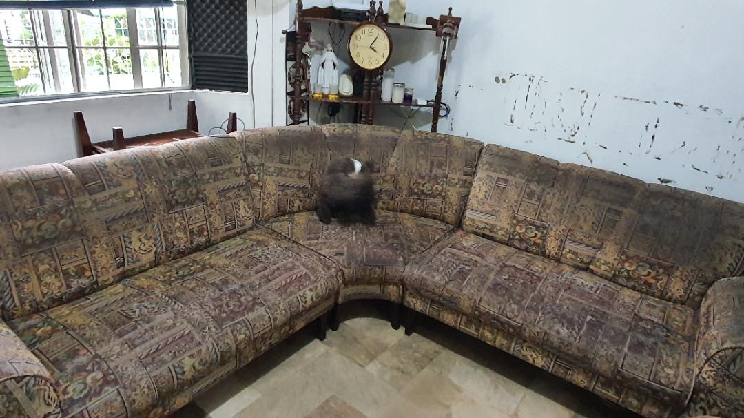 Garage Sale Series --- Sofa Set 3-piece corner design, Furniture & Home ...