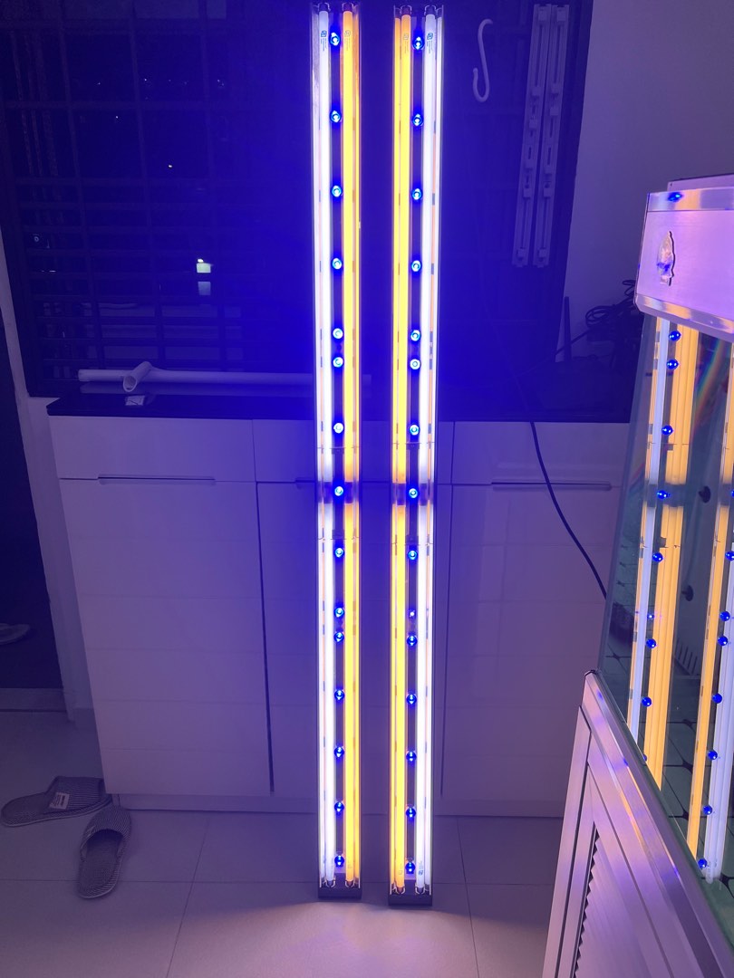 Mayin atomic tanning light, Pet Supplies, Health & Grooming on Carousell