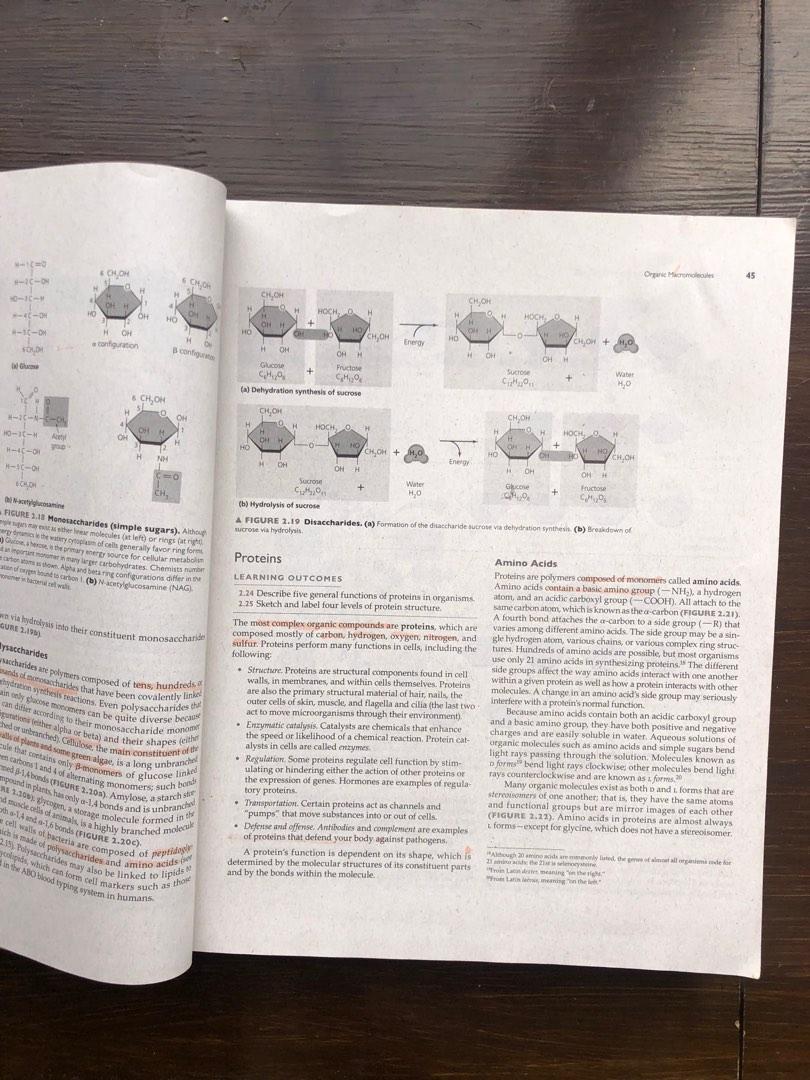 Microbiology with Diseases by Body System, Hobbies & Toys, Books & Magazines, Textbooks on Carousell