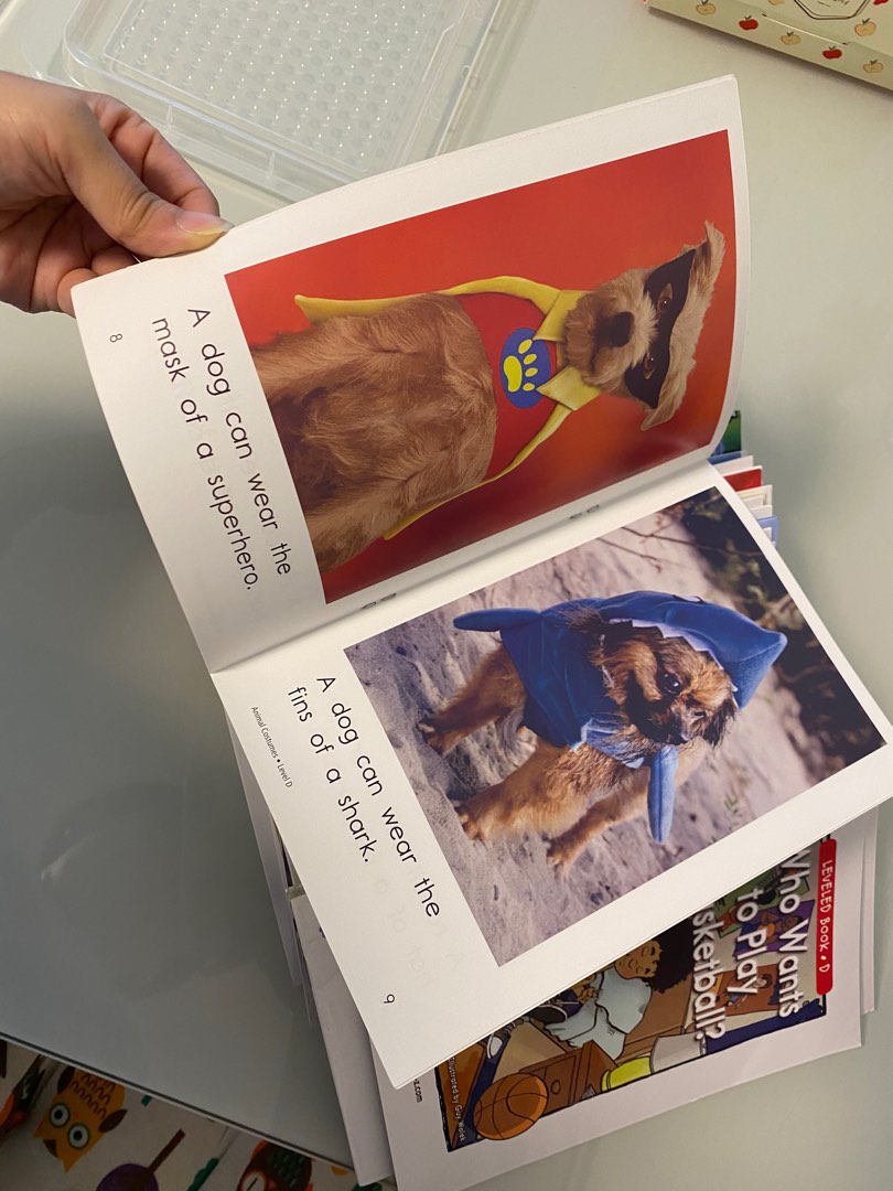 Raz reading a-z level D, 興趣及遊戲, 書本 & 文具, 小朋友書 - Carousell
