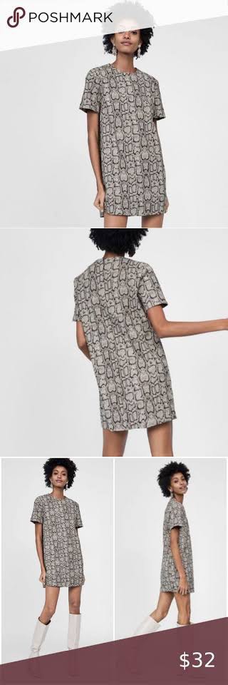 Zara Phyton Snakeskin Dress, Women's Fashion, Dresses & Sets, Dresses ...