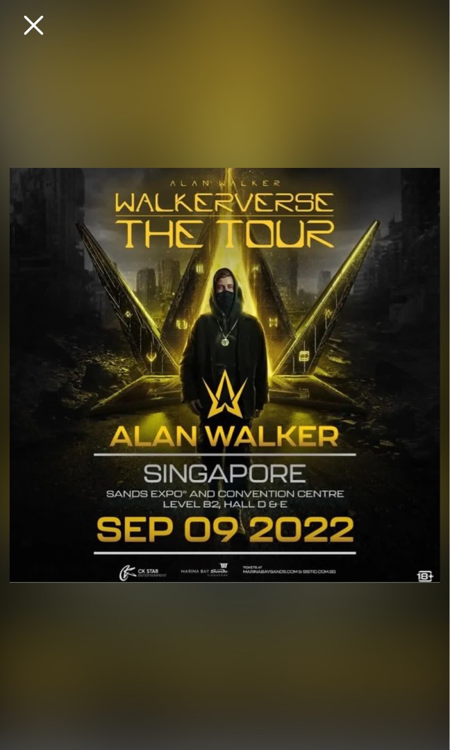 Alan walker x 2 tickets, Tickets & Vouchers, Event Tickets on Carousell