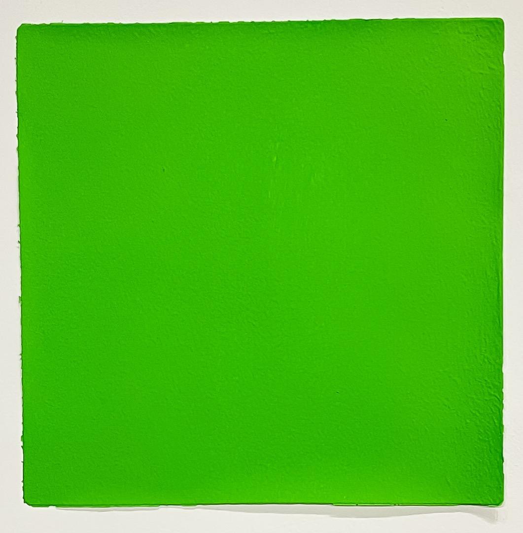 Alora Paints Chroma Green, Green Screen Paint with Anti Mould ...