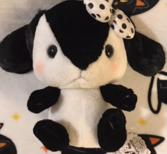 authentic pote usa loppy plush, Hobbies & Toys, Toys & Games on Carousell