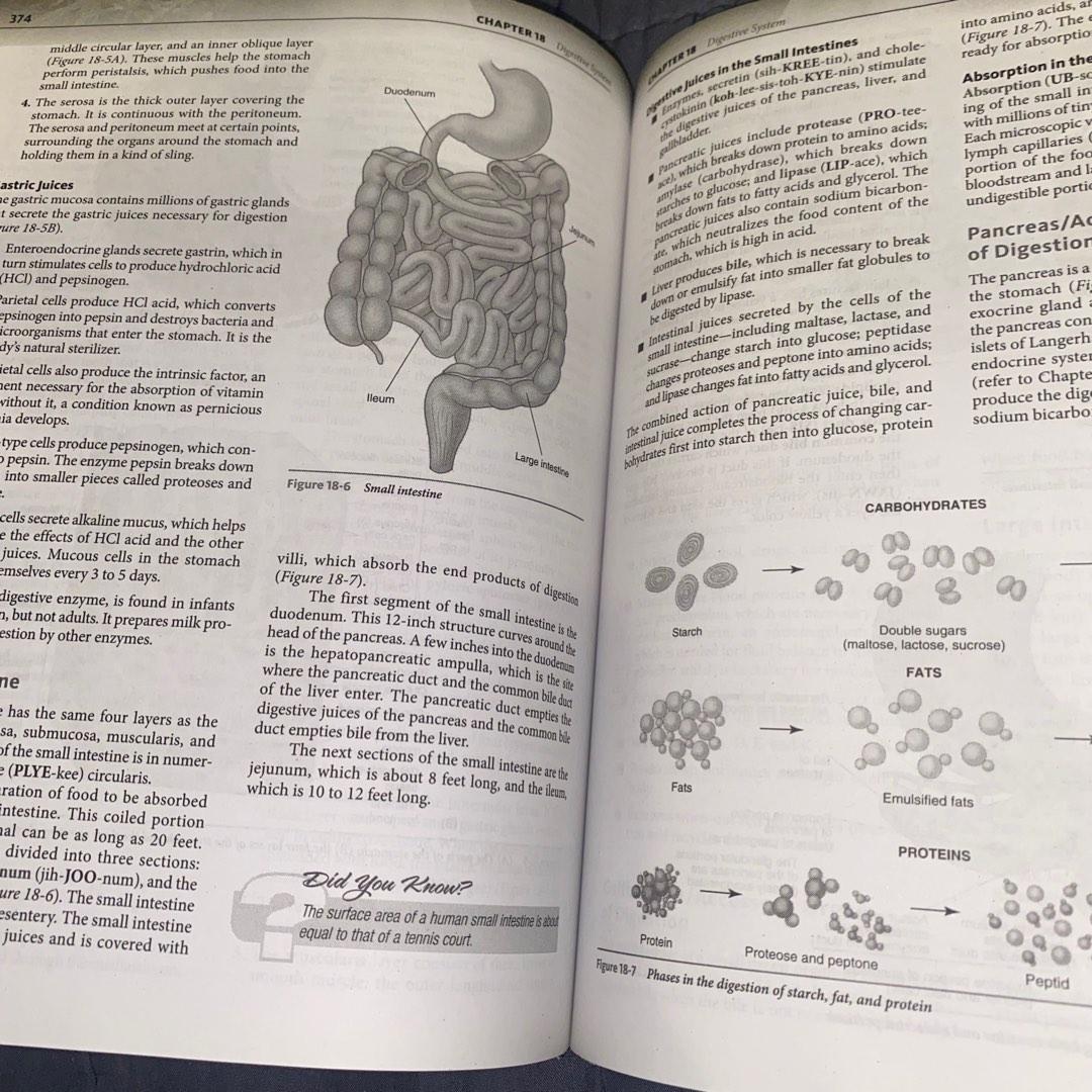BODY STRUCTURES AND FUNCTIONS 13TH EDITION ANN SENISI SCOTT ELISABETH ...