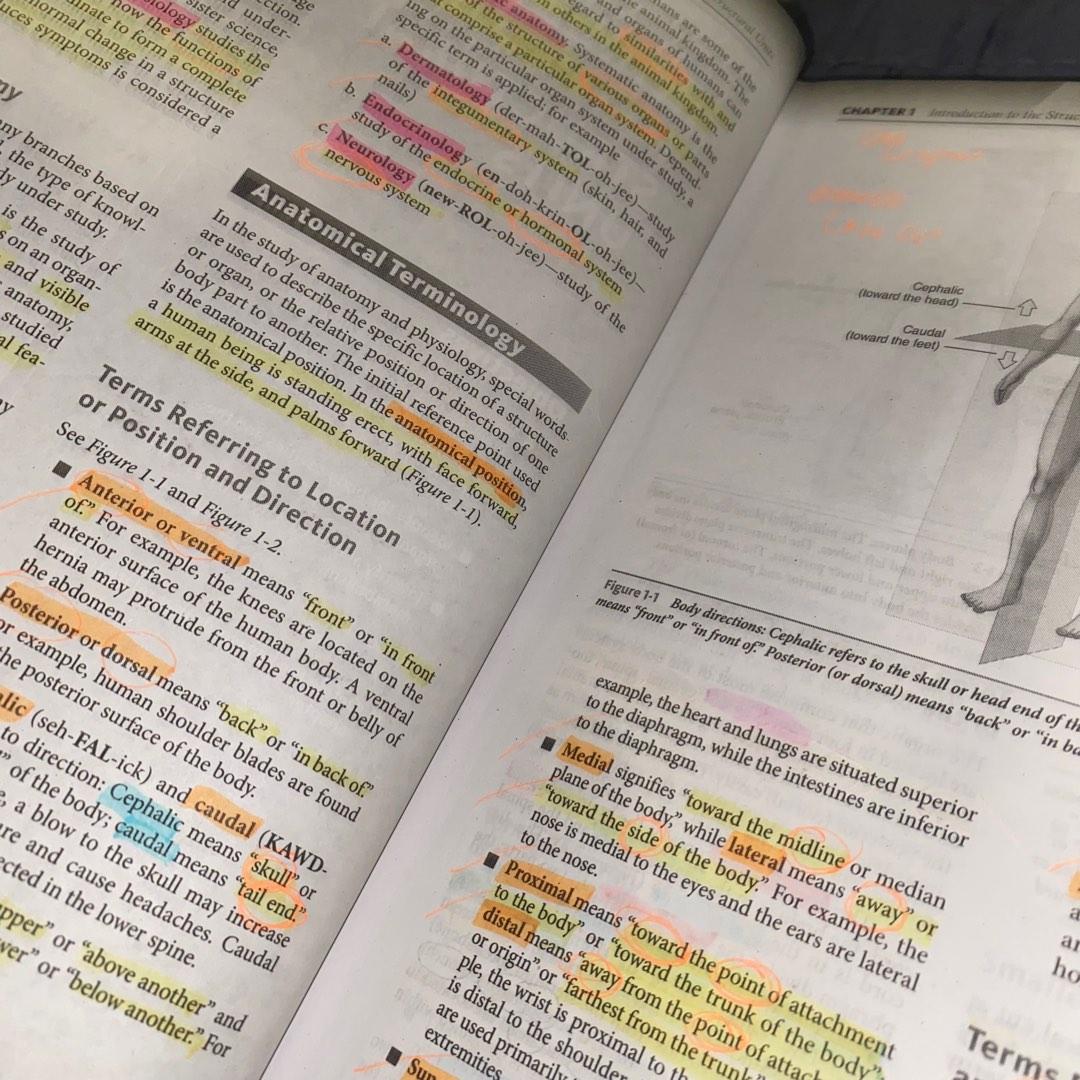 Body Structures And Functions 13th Edition Pdf