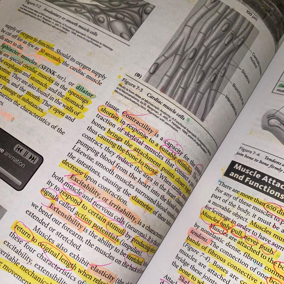 BODY STRUCTURES AND FUNCTIONS 13TH EDITION ANN SENISI SCOTT ELISABETH FONG, Hobbies & Toys ...