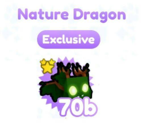 Pet Simulator X! Exclusive Nature Dragon, Hobbies & Toys, Toys & Games ...