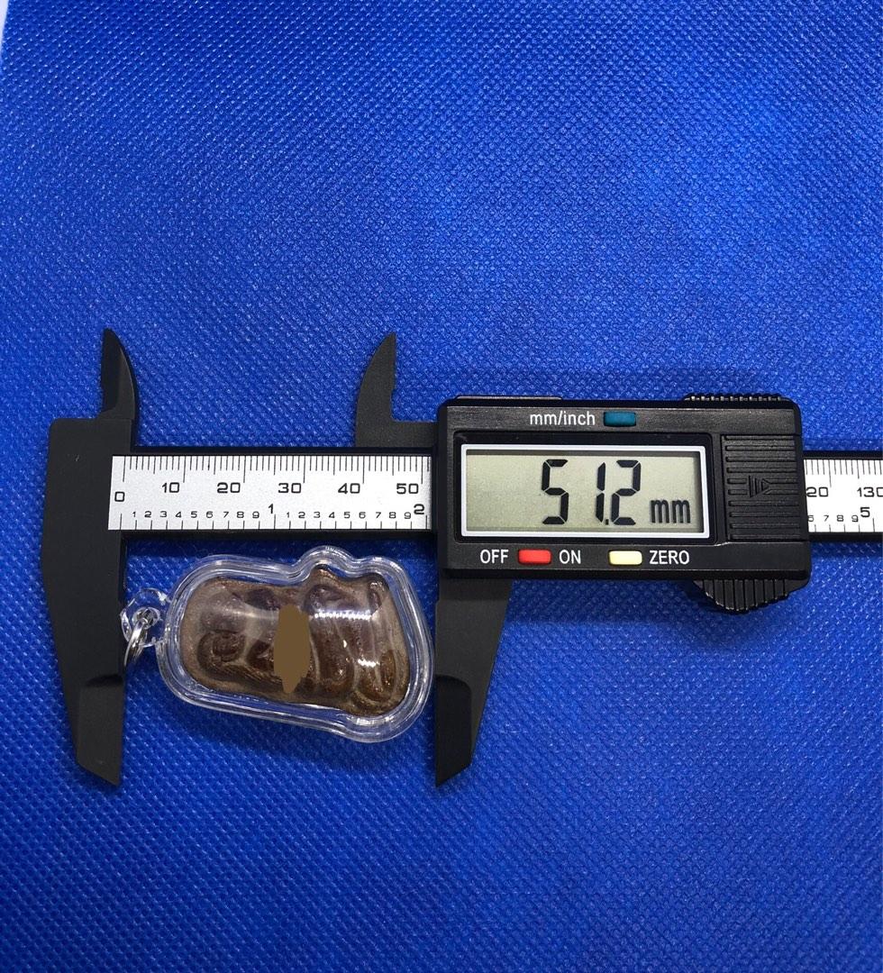 Special In Koo / Yin Tong amulet with fang, Hobbies & Toys, Memorabilia ...