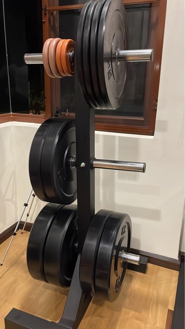 Squat Rack, Deadlift Platform and Dumbbell Rack, Sports Equipment ...