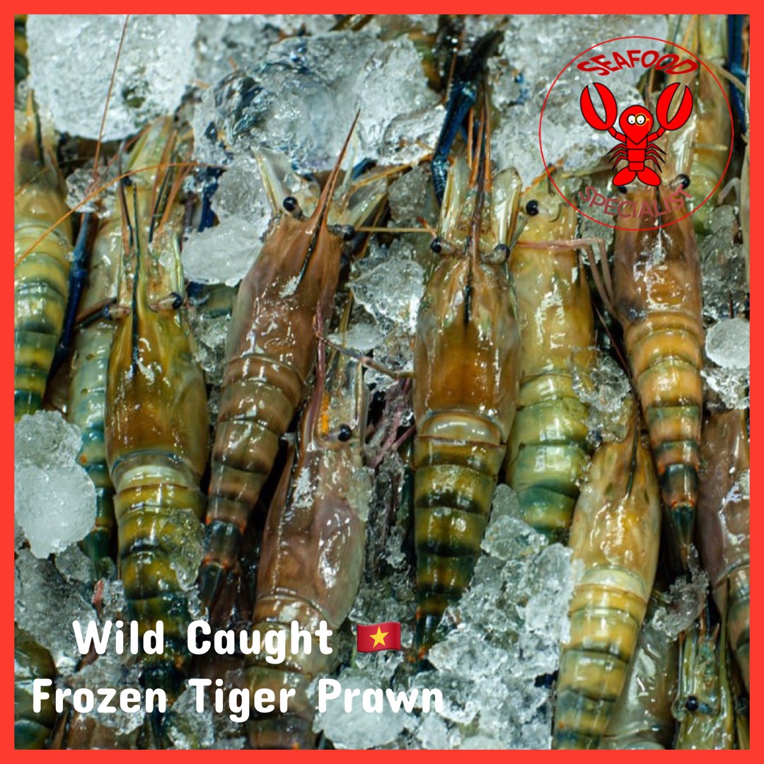 Wild Caught Colossal Tiger Prawns, Food & Drinks, Chilled & Frozen Food ...