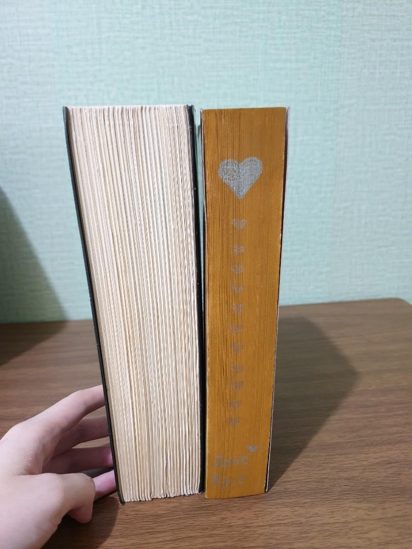 Anna Karenina and Jane Eyre Book Bundle [Strictly Sold as Set ...