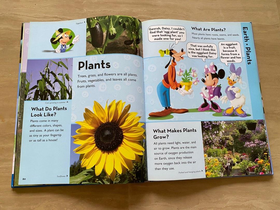 3 books for $10 - Fun facts to understand our world. 5 minutes stories ...