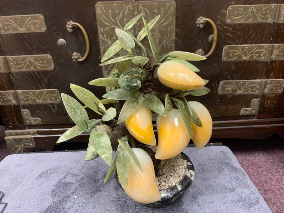 Jade mango tree, Furniture & Home Living, Home Decor, Other Home Decor ...