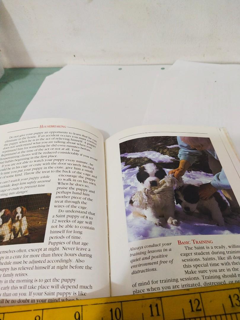 "Saint Bernards"/2 guide books/1990s/Full color photos, Hobbies & Toys ...