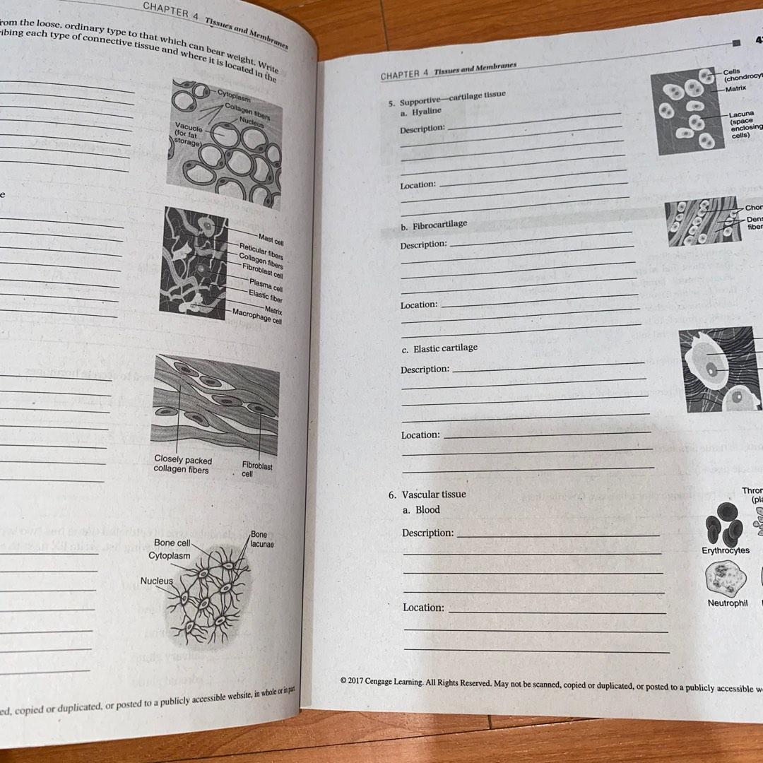 WORKBOOK FOR BODY STRUCTURES AND FUNCTIONS 13th edition ANN SENISI ...