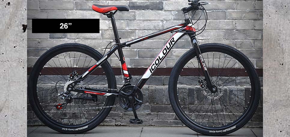 26 inch 21 Speeds Mountain Bike MTB 26" Bicycle For food delivery rear ...