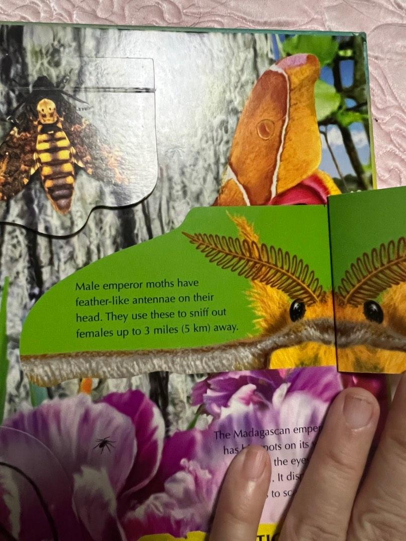 Creepy Crawlers, Hobbies & Toys, Books & Magazines, Children's Books on ...