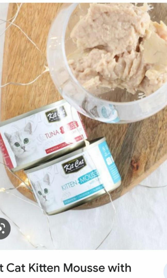 Kit Cat Kitten Mousse, Pet Supplies, Pet Food on Carousell