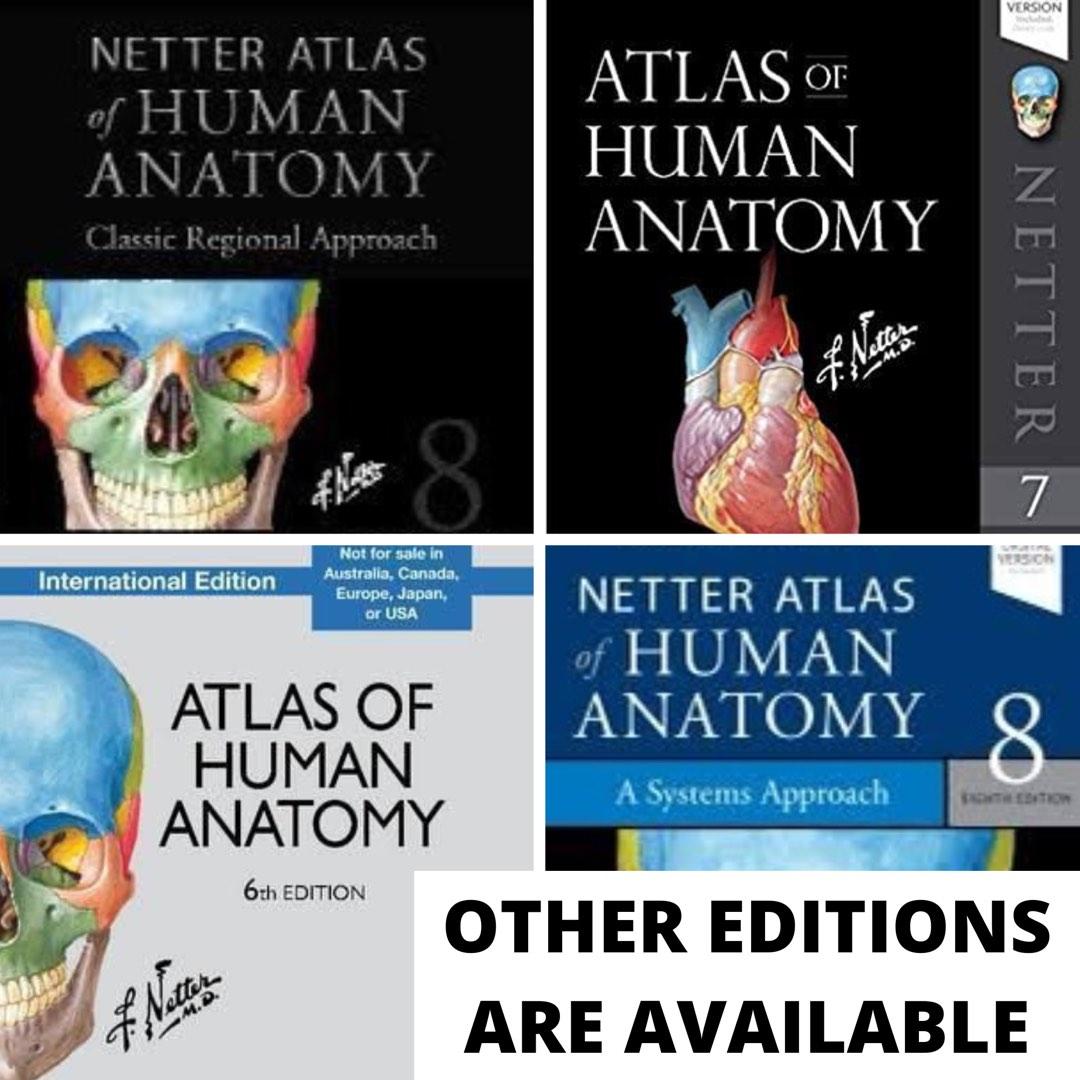 Netter | Atlas of Human Anatomy, Hobbies & Toys, Books & Magazines ...
