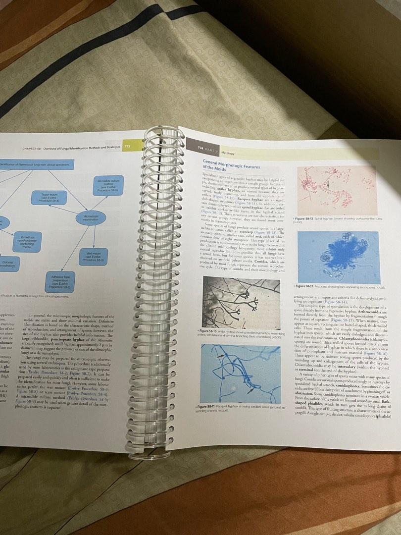 Pathoma | Fundamentals of Pathology Medical Course and Step 1 Review ...