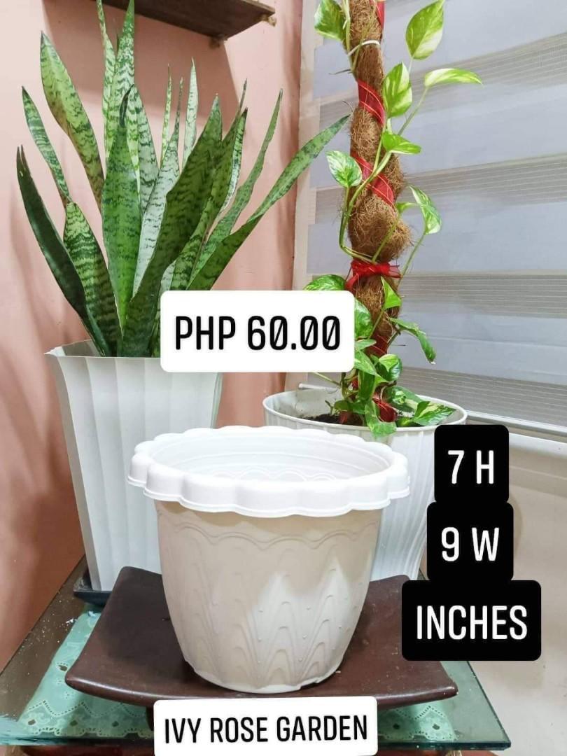 Plastic Pots by Ivy Rose Garden, Furniture & Home Living, Gardening ...