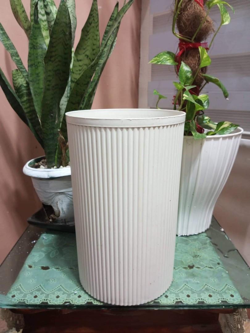 Plastic Pots by Ivy Rose Garden, Furniture & Home Living, Gardening ...