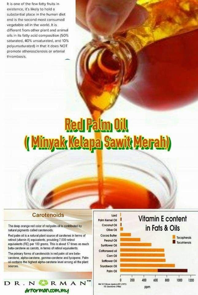 Pusat Penelitian Kelapa Sawit PPKS Minyak Makan Merah,