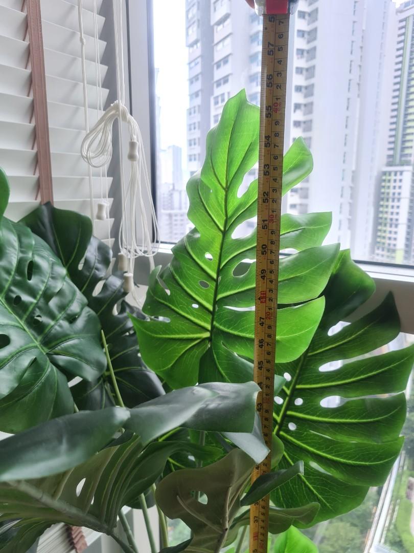 Artificial Monstera 'Elephant Ear' Plant, Furniture & Home Living, Home ...