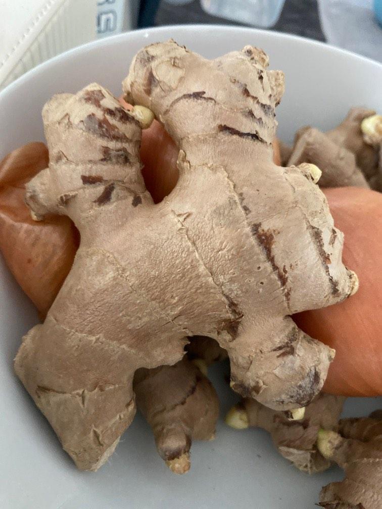 Bentong ginger, Food & Drinks, Fresh Produce on Carousell