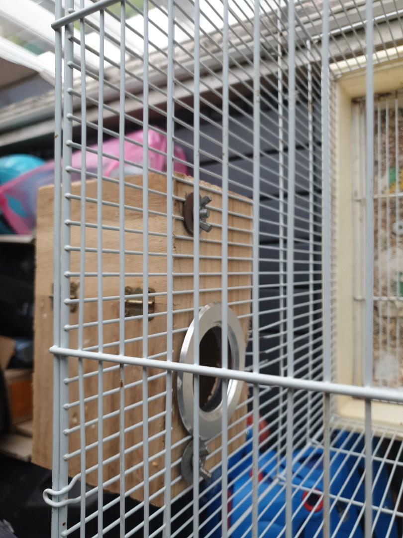 Bird cage with nest box, Pet Supplies, Homes & Other Pet Accessories on ...