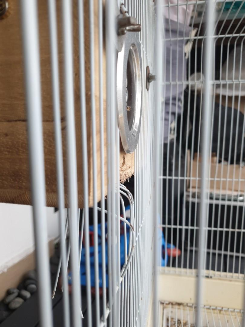 Bird cage with nest box, Pet Supplies, Homes & Other Pet Accessories on ...
