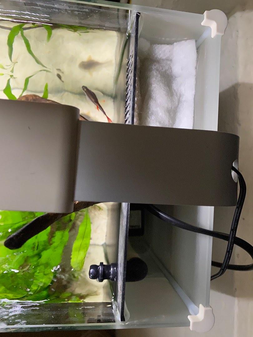 Fluval Spec 10L tank set, Pet Supplies, Homes & Other Pet Accessories ...