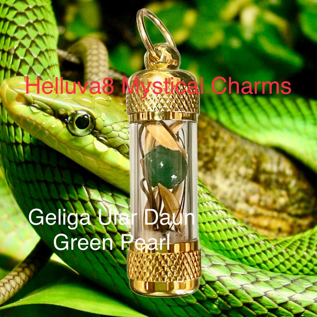 Geliga Ular Daun Green Pearl Bulu Perindu Padi Takrut Believed For Business Sales Wealth