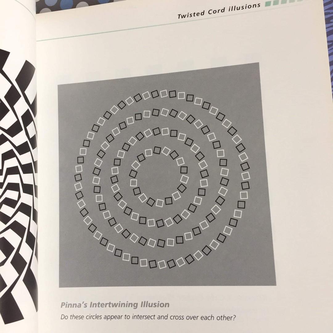 Incredible Visual Illusions by Al Seckel, Hobbies & Toys, Books ...