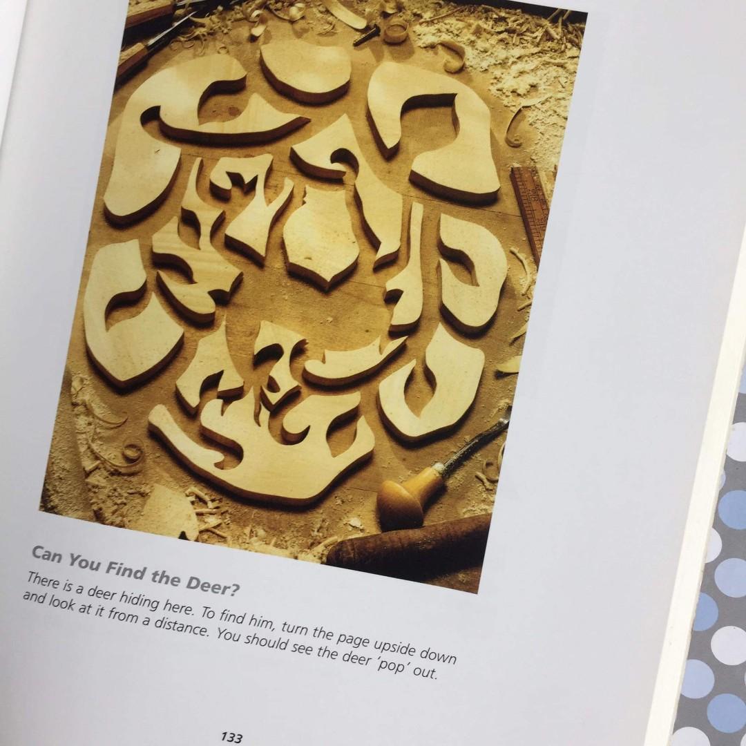 Incredible Visual Illusions by Al Seckel, Hobbies & Toys, Books ...