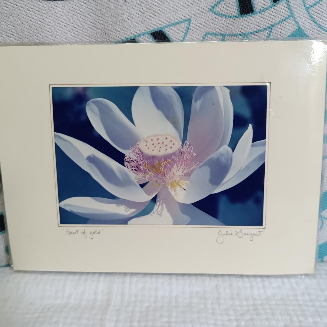 Julie Baigent Signed Photo Picture/ Wall Art 4pcs, Hobbies & Toys ...