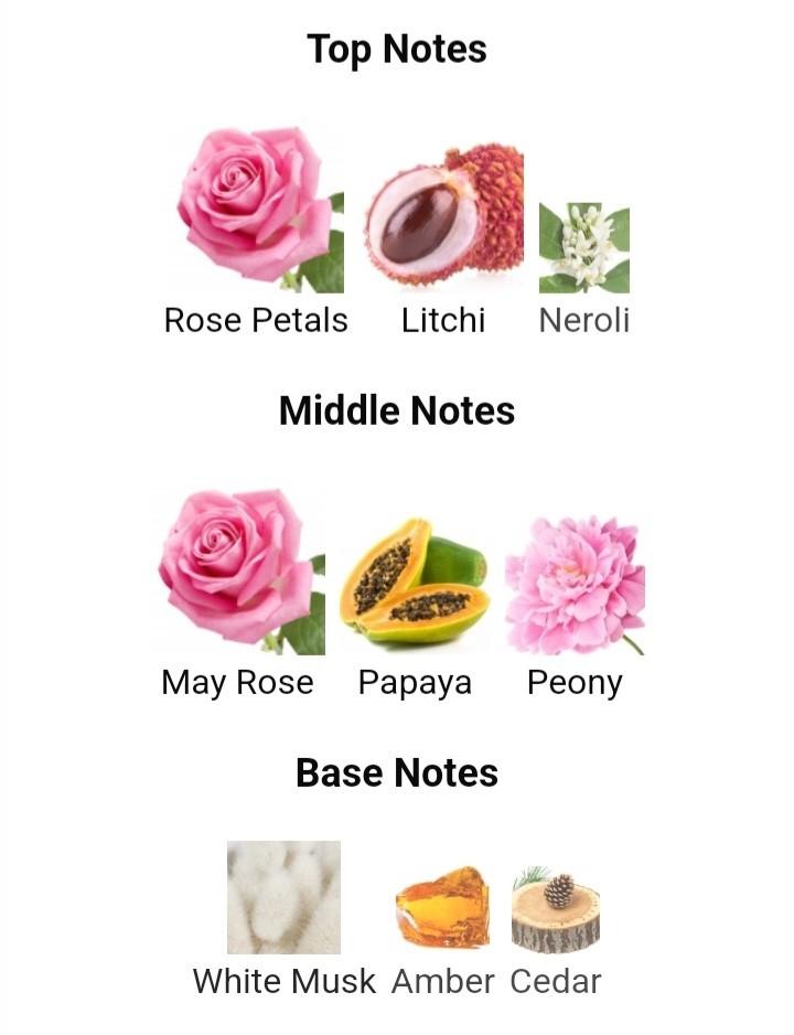 Paris Hilton Rose Rush EDP 100ml, Beauty & Personal Care, Fragrance ...