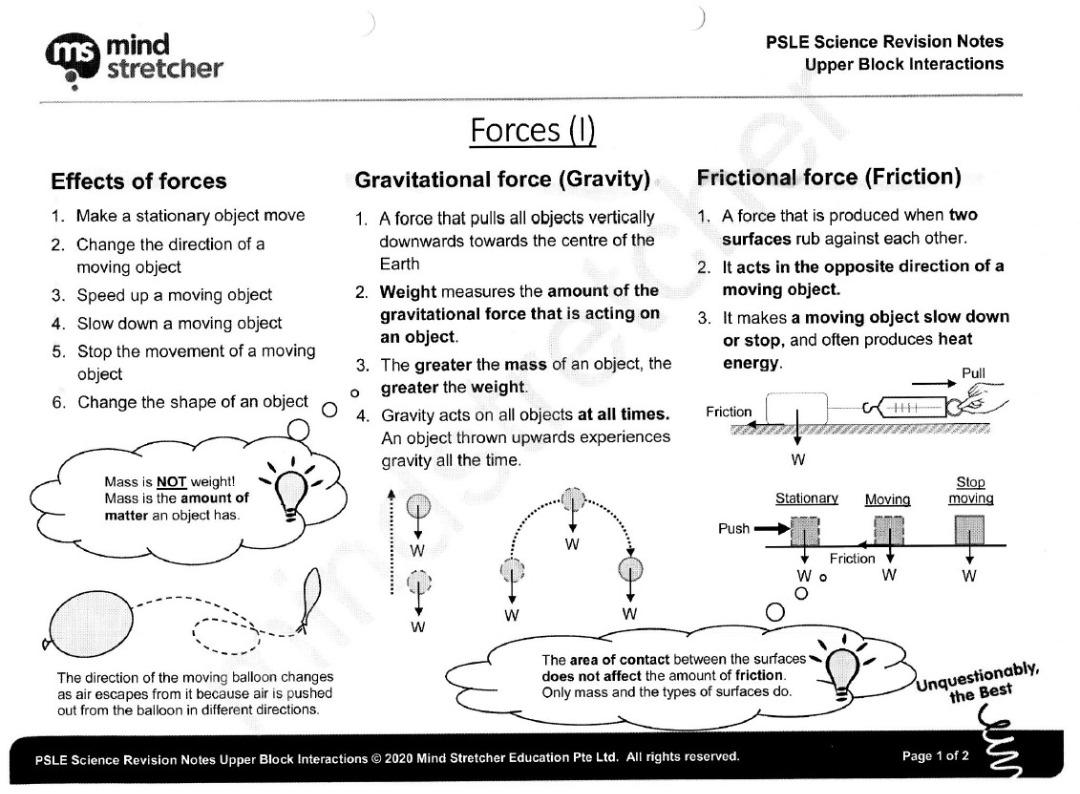 Psle P6 Science Notes Revision Practices Science Answering Technique