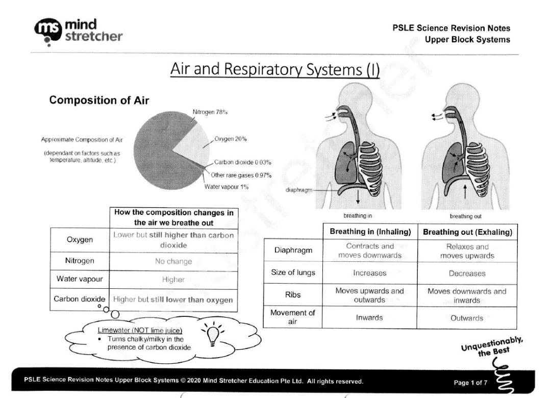 PSLE P6 Science Notes Revision Practices / Science Answering technique ...