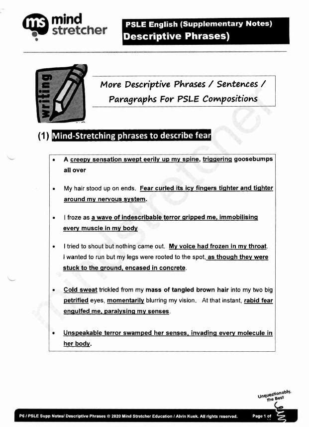 PSLE English Notes, Revision, Practices / Oral / Compo / Good Phrases ...