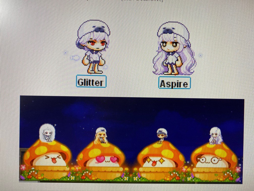 S> MapleSEA Event Items, Video Gaming, Gaming Accessories, In-Game ...