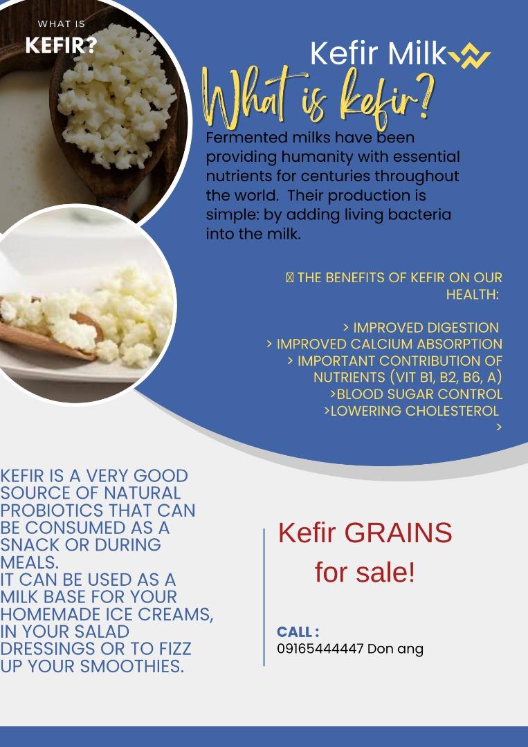 Tibetan milk Kefir grains, Food & Drinks, Chilled & Frozen Food on ...