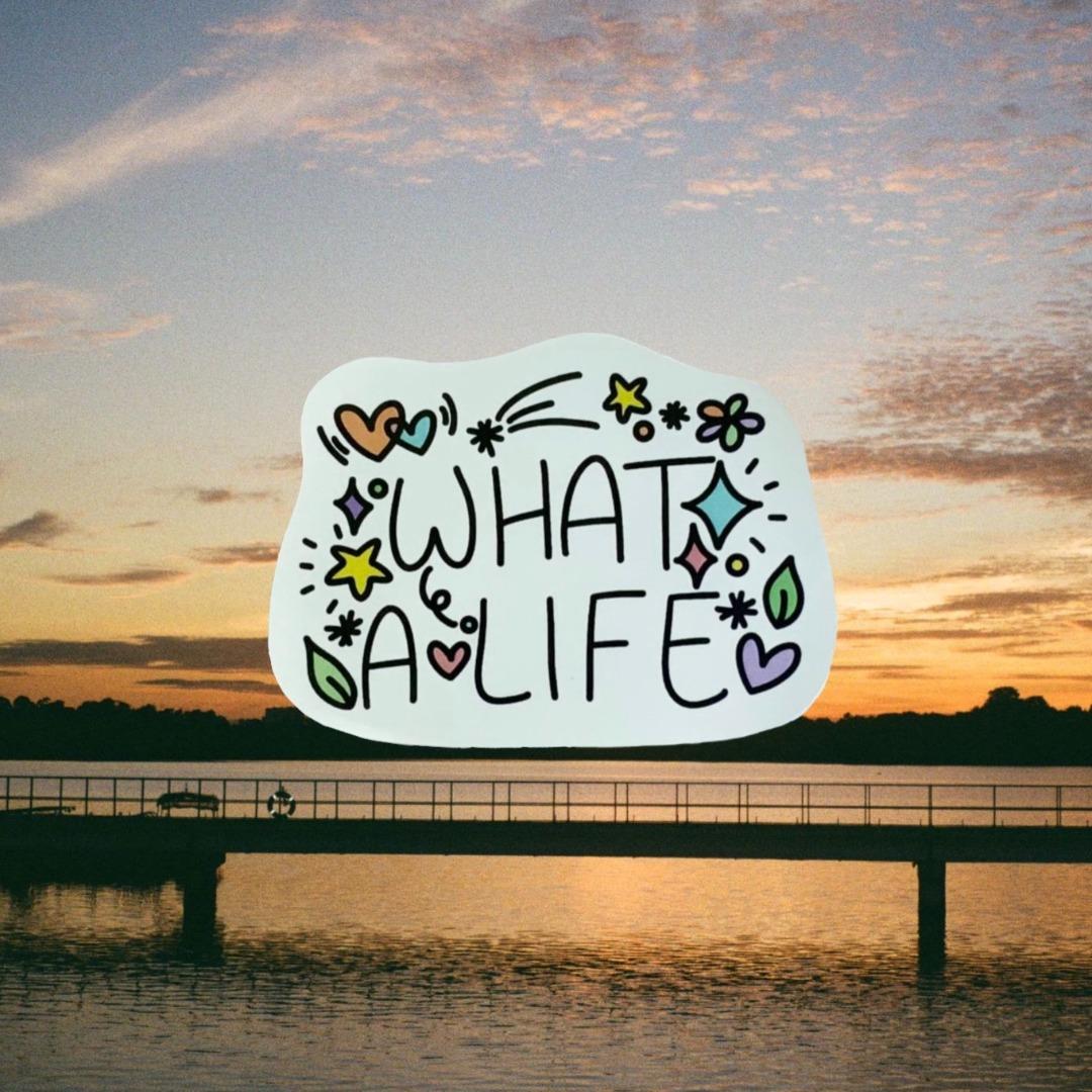 What a Life | hand-drawn | waterproof | motivational positivity sticker ...