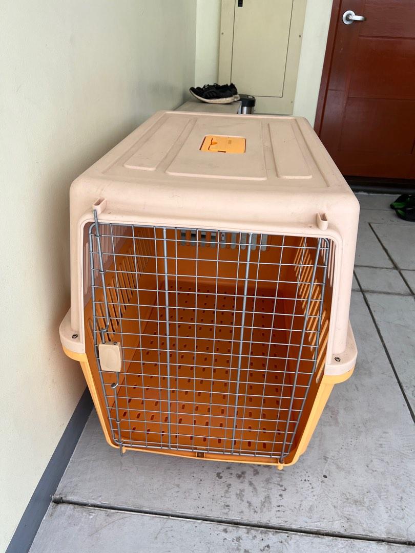 XXL Dog pet carrier, Pet Supplies, Homes & Other Pet Accessories on ...