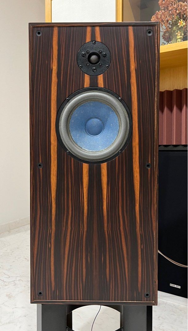 Audio Note AN-E/SPx speaker, Audio, Soundbars, Speakers & Amplifiers on ...