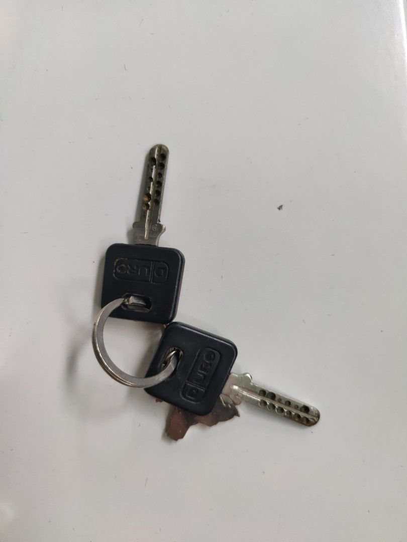 Duro Lock (320), Furniture & Home Living, Security & Locks, Locks ...