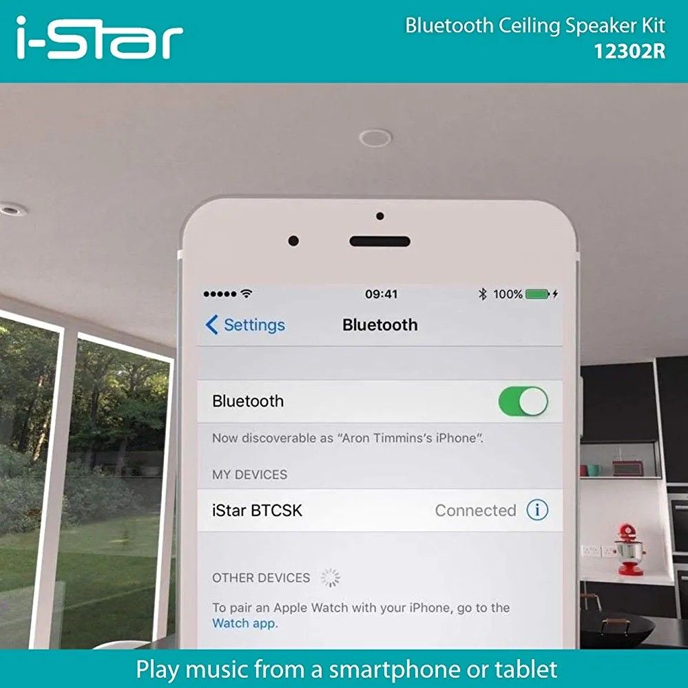 iStar 12302R Wireless Bluetooth Speaker Ceiling Kit, Audio, Soundbars, Speakers & Amplifiers on ...